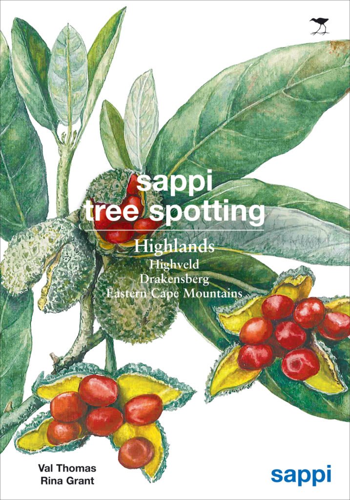 Know Them by Their Fruit: A guide to identifying South African trees ...