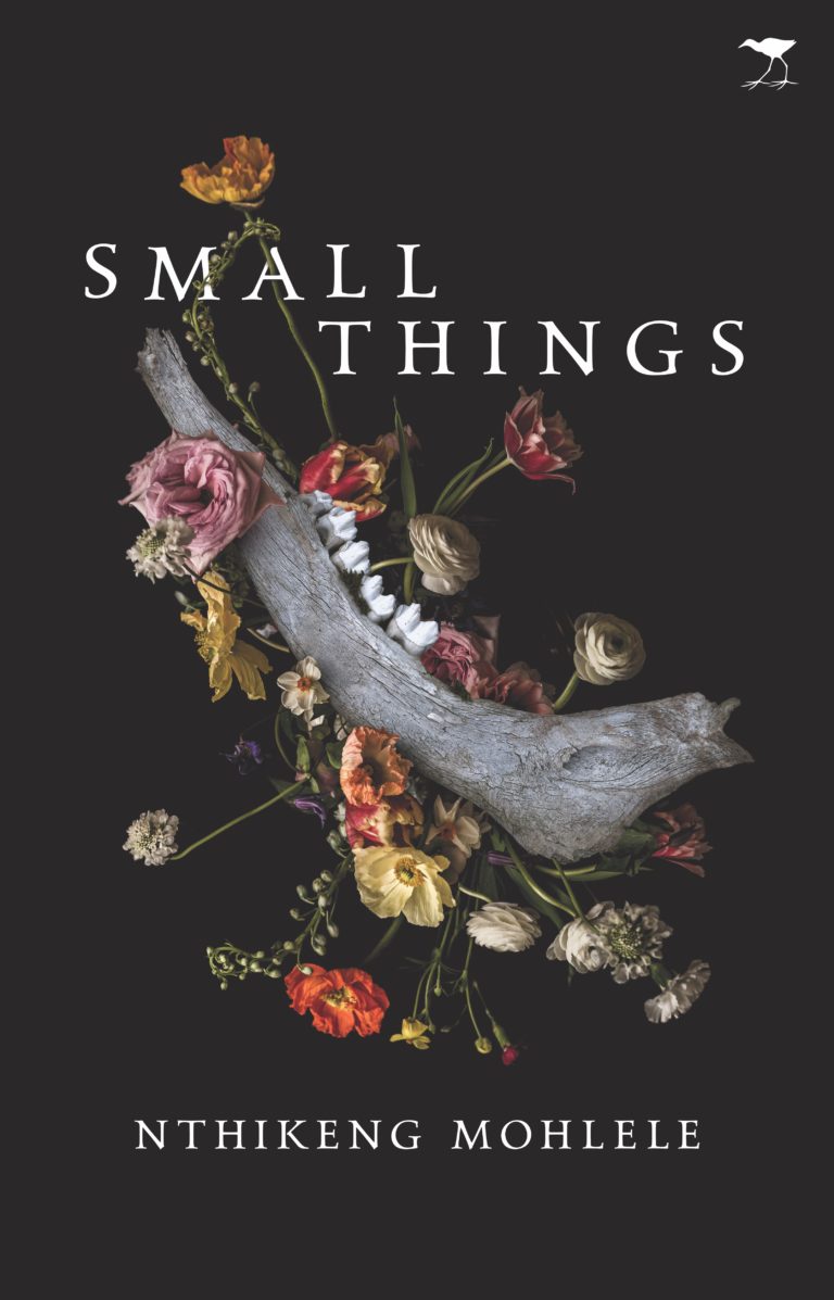 Small Things A Novel Jacana