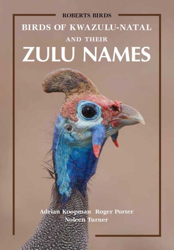 Roberts Birds Of KwaZulu Natal And Their Zulu Names Jacana Roberts Birds Of KwaZulu Natal And Their Zulu Names Jacana